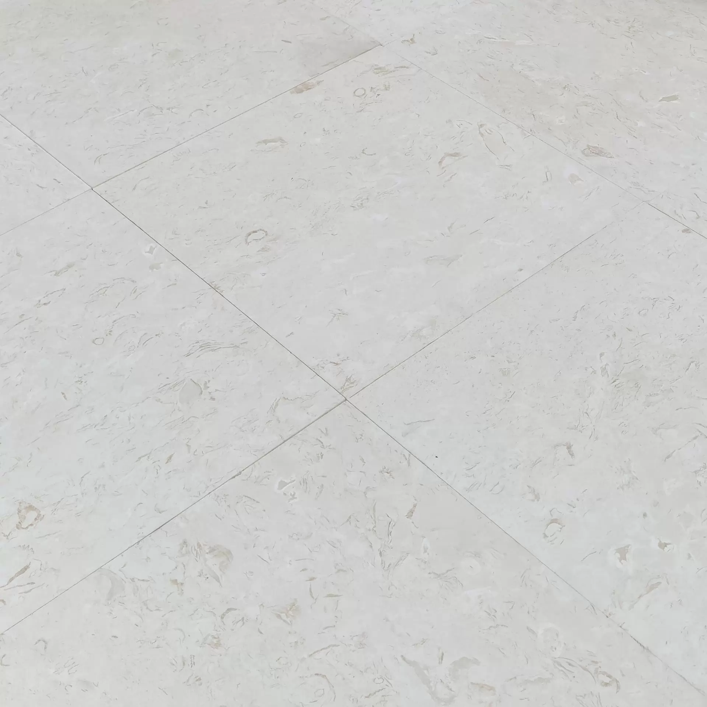 24x24 Shellstone Tile – Harmony Stone